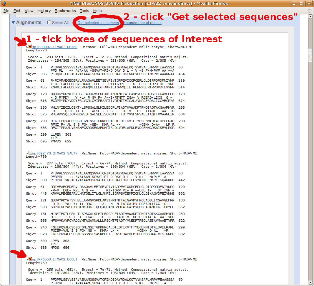 Frequently Asked Questions - Metagenes