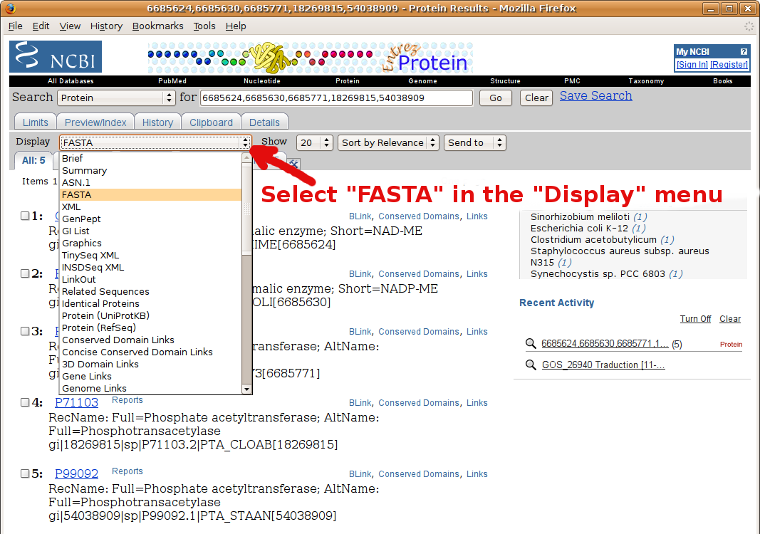 Frequently Asked Questions - Metagenes